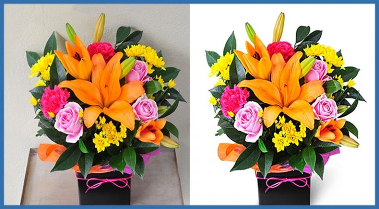 Photoshop Clipping Path and Background Knockout Services